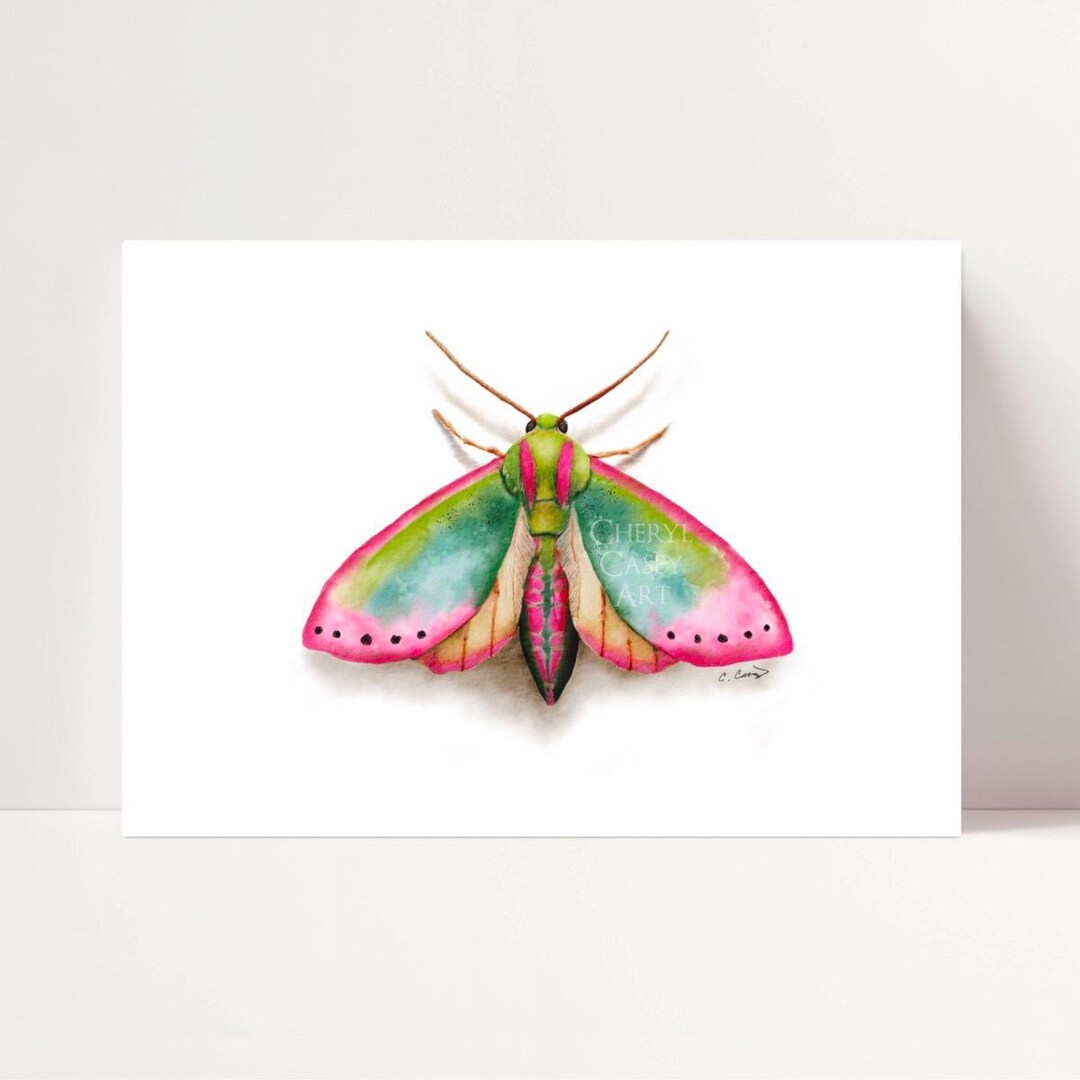 Colorful Moth Art Print | Cute Insect Art | Kids Bug Wall Decor | From ...
