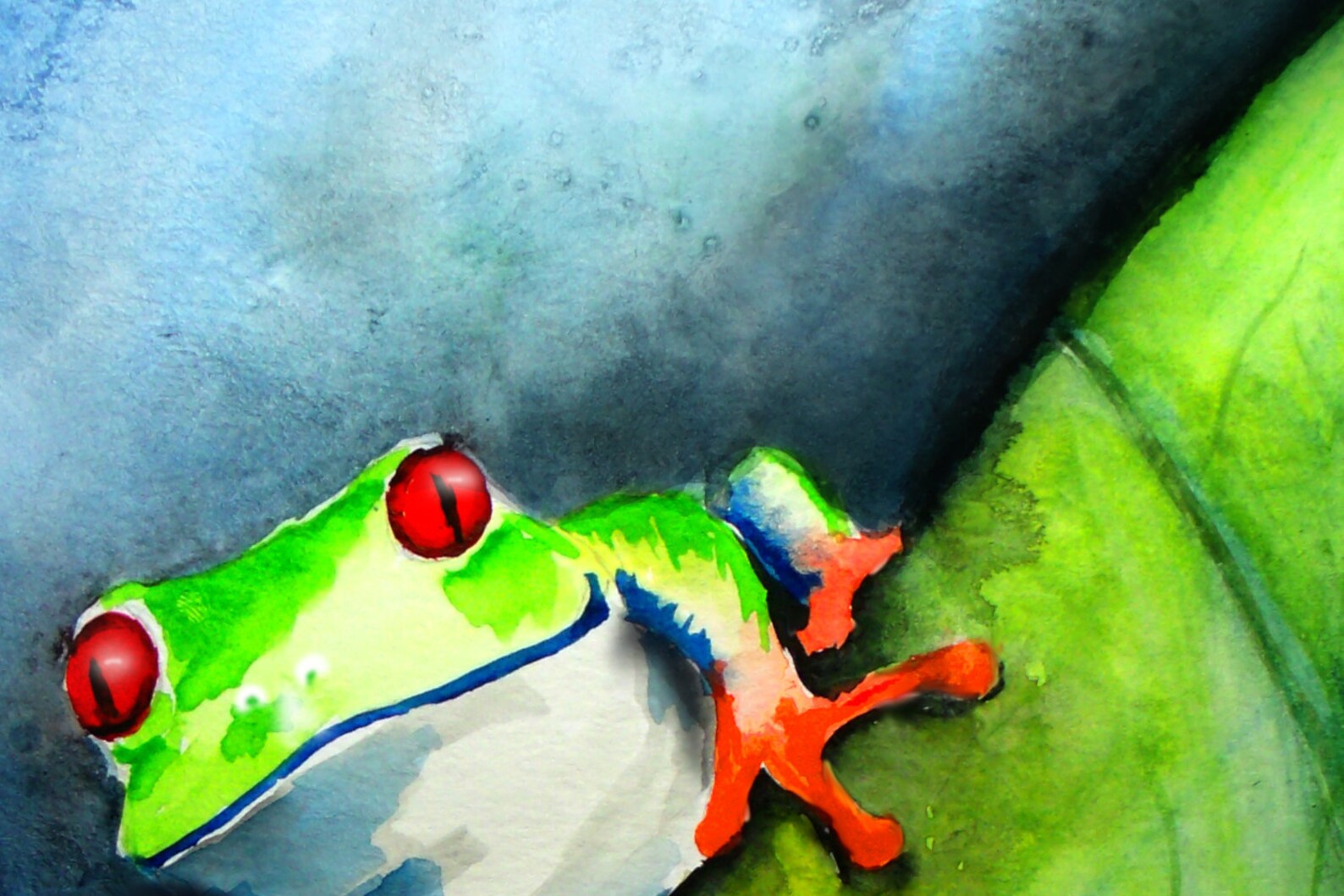 Tree Frog Art Print From Watercolor Painting by Cheryl Casey, Kid's ...