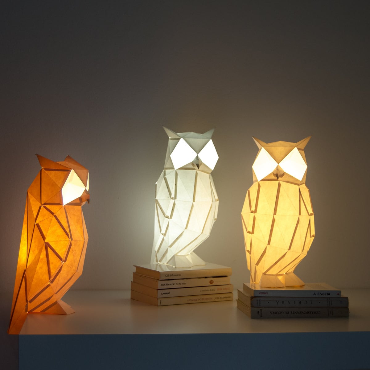 Night Owl DIY Paperlamp pre-cut papercraft kit | Etsy