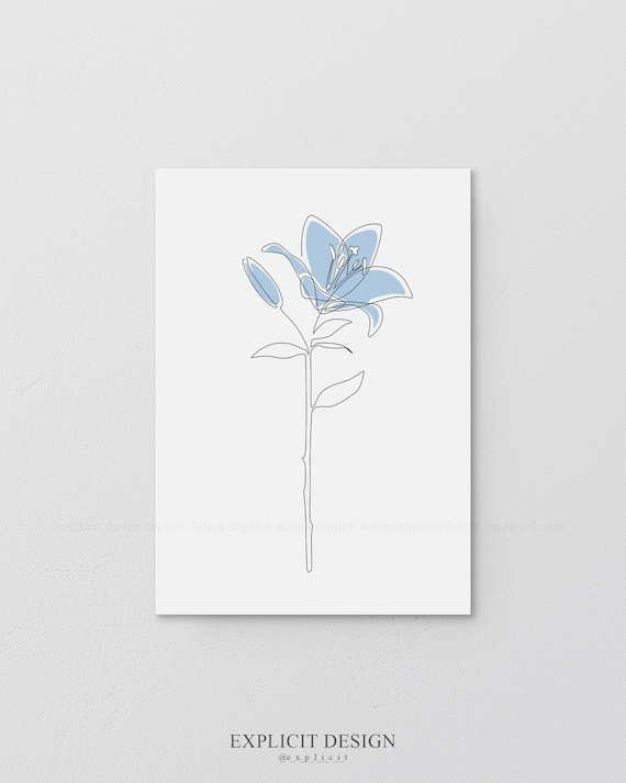 Blue Lily Flower Drawing