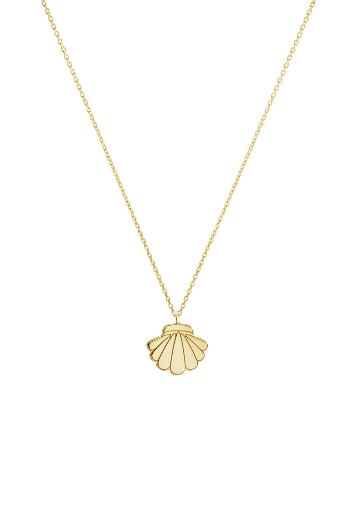Solid Gold Clam Shell Necklace, Sea Shell Charm, 9K 14K 18K Yellow Gold ...