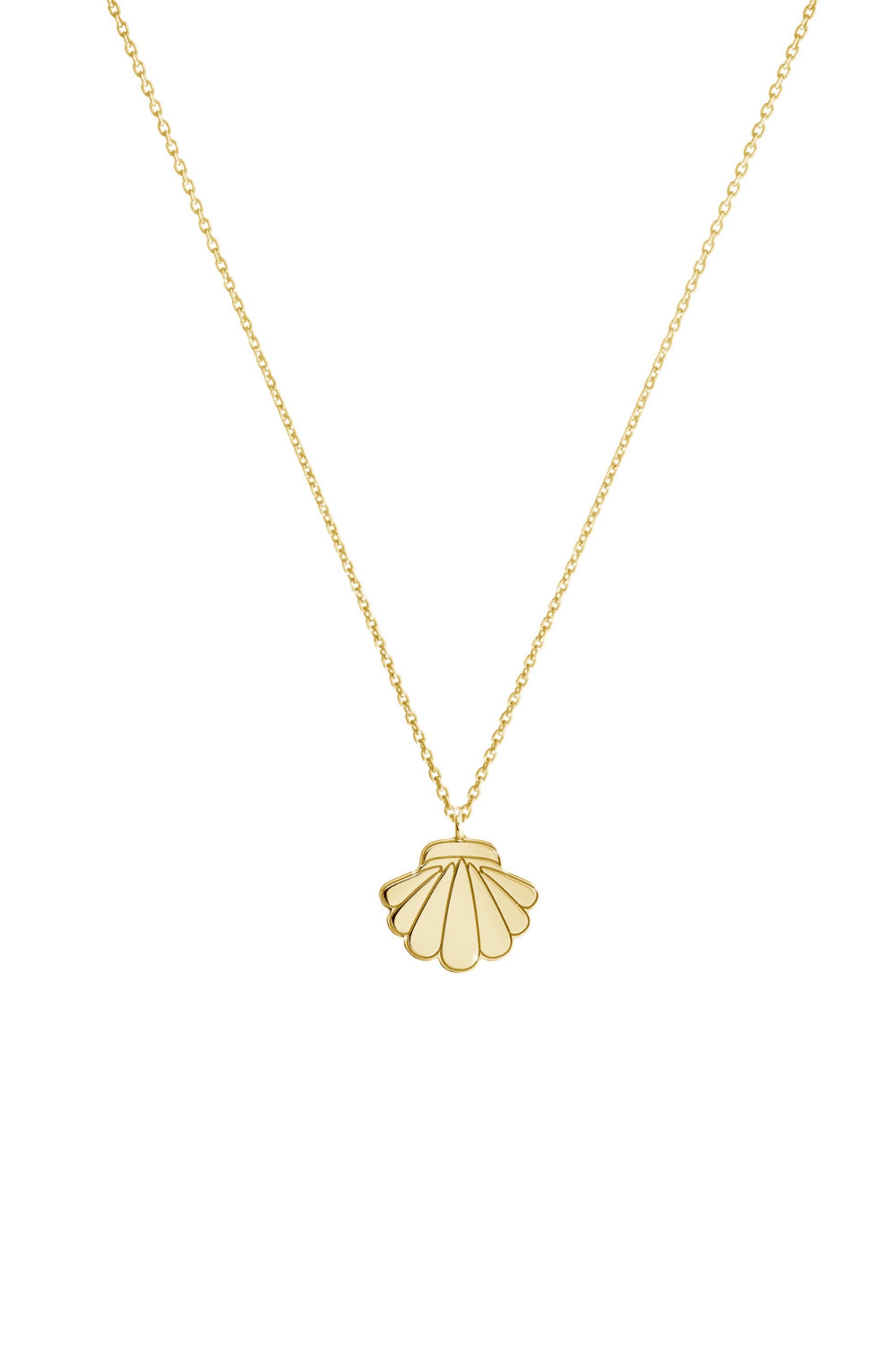 Solid Gold Clam Shell Necklace, Sea Shell Charm, 9K 14K 18K Yellow Gold ...