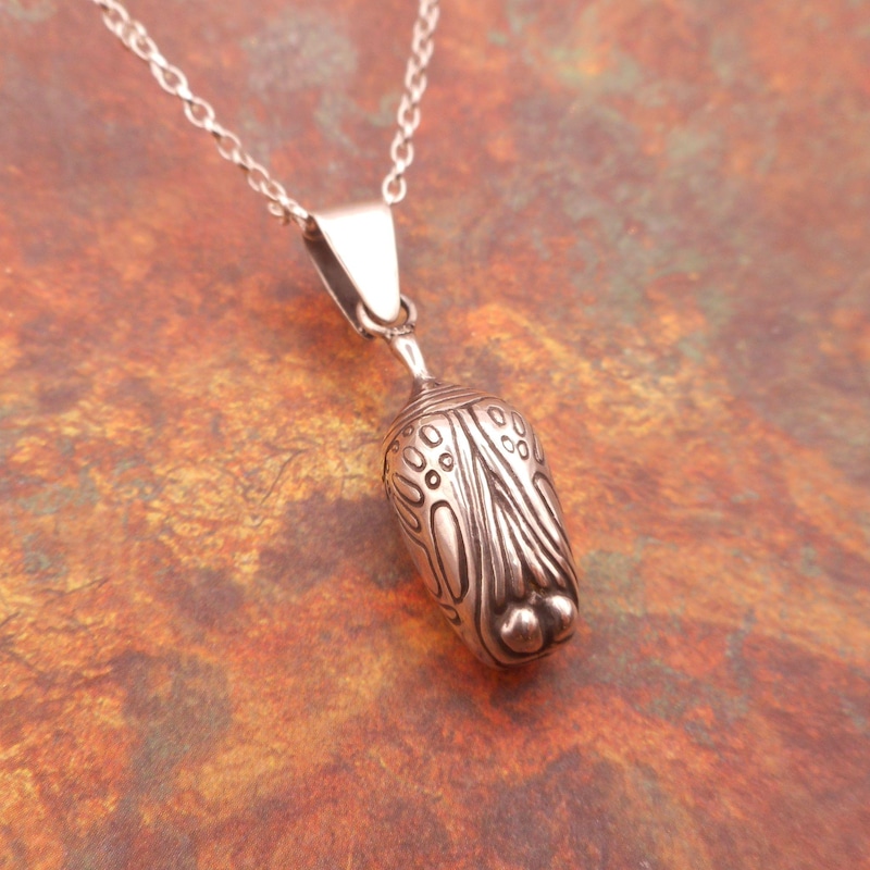 Silver Pendant Chrysalis - Etsy UK