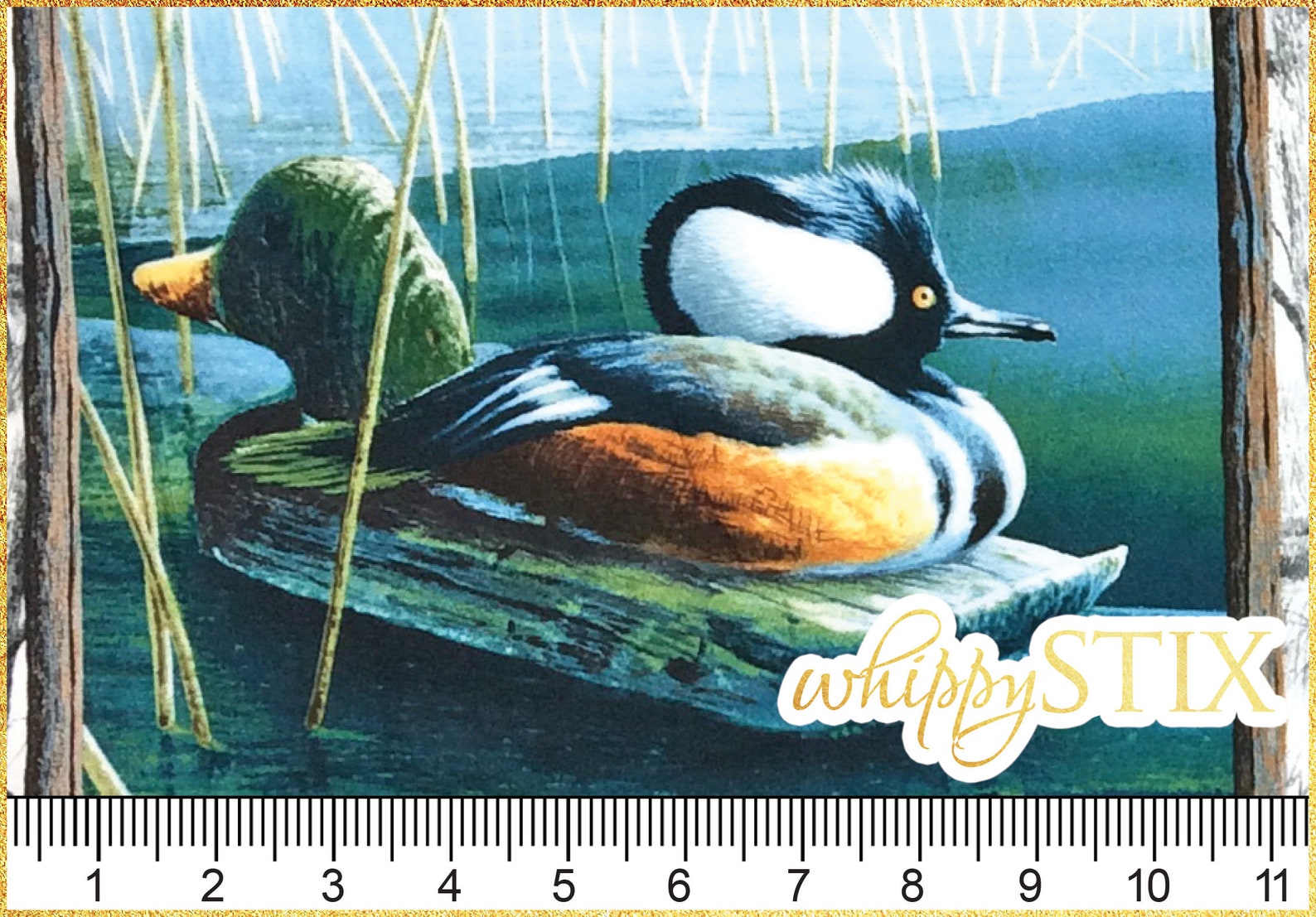 Loon Fabric by the Panel, Pride of the Lake by Kevin Daniel Wilmington ...