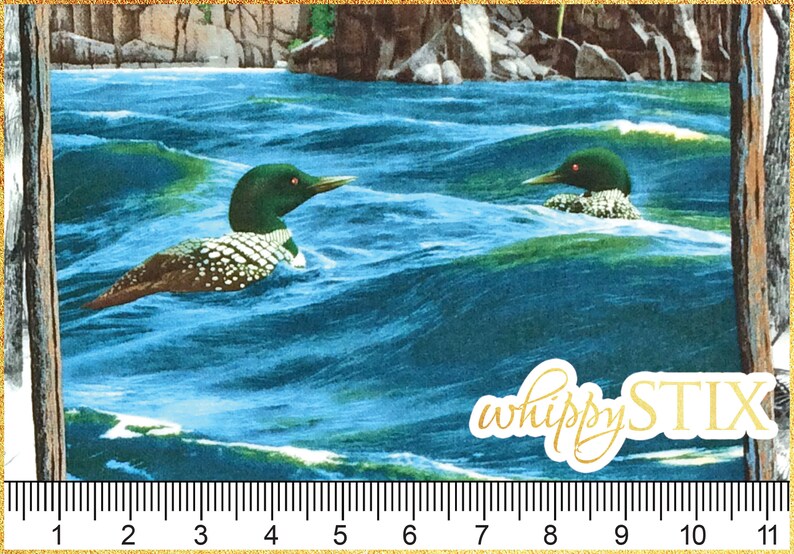 Loon Fabric by the Panel, Pride of the Lake by Kevin Daniel Wilmington ...