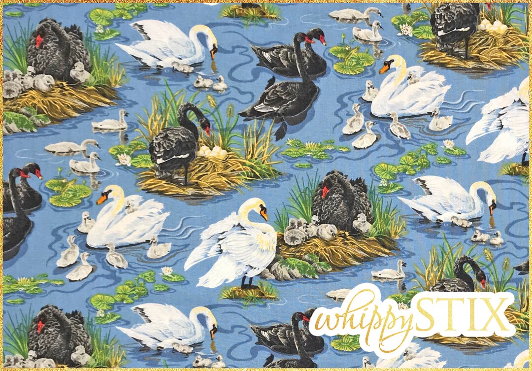 Swan Fabric by the Yard, Swan Song by Nutex, BTY Black White Swan Bevy ...