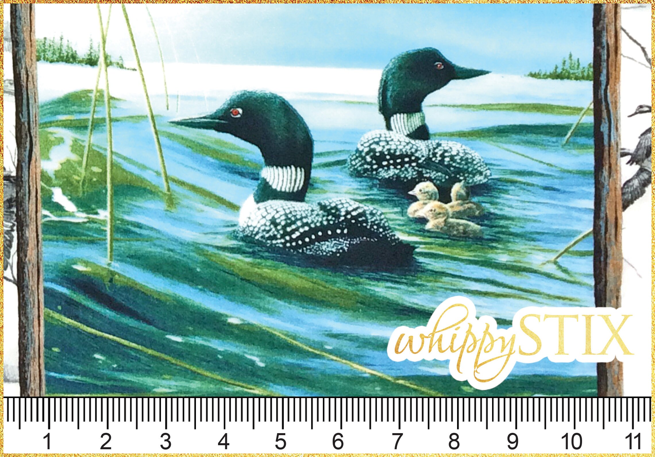 Loon Fabric by the Panel, Pride of the Lake by Kevin Daniel Wilmington ...