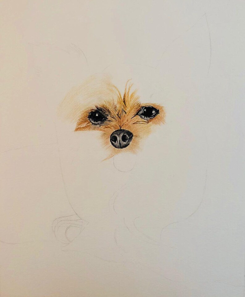 Original Dog Drawing From Photo, Portrait Commission, Custom Drawings ...