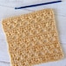 Spring Lacy Crochet Stitches —crochet Stitch Dictionary, Lace Stitch ...
