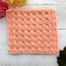 Shell & Twisted Crochet Stitches — Crochet Stitch Dictionary, Lace ...