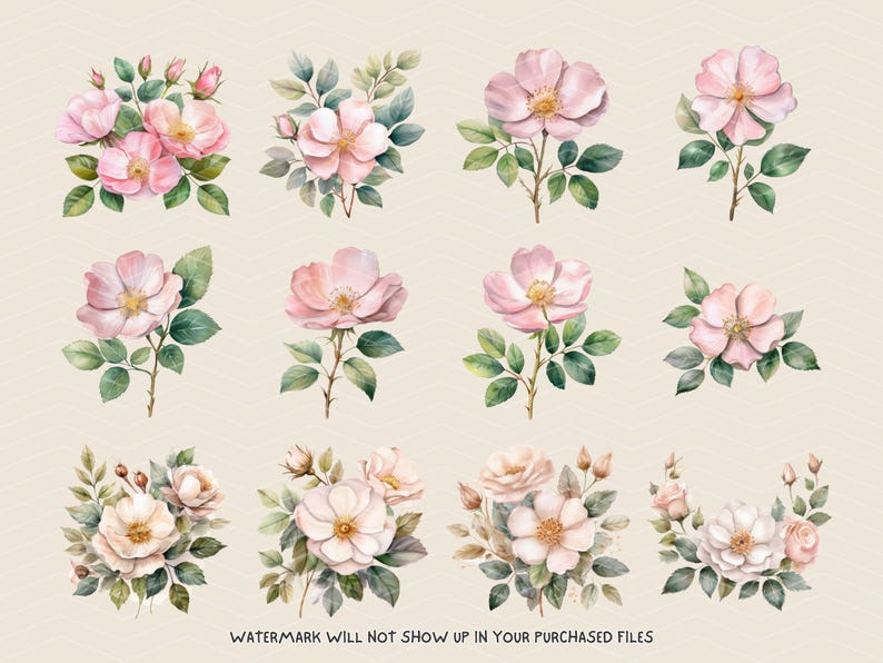 Vintage Wild Roses Clipart PNG, Pink Romantic Flower Bouquet Watercolor ...