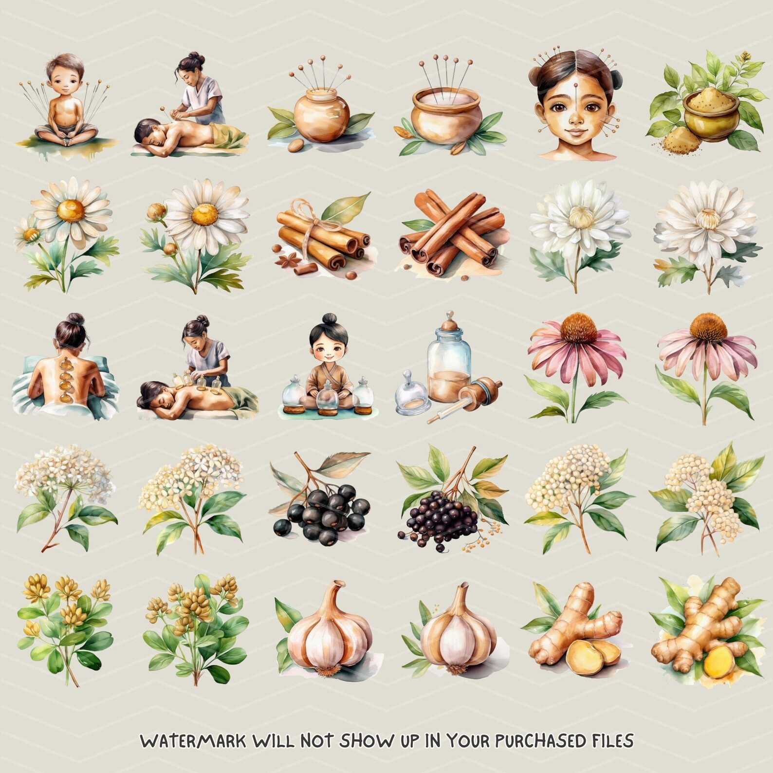 Traditional Naturopathy Clipart PNG, Hand-drawn Style Graphic Warm Cozy ...