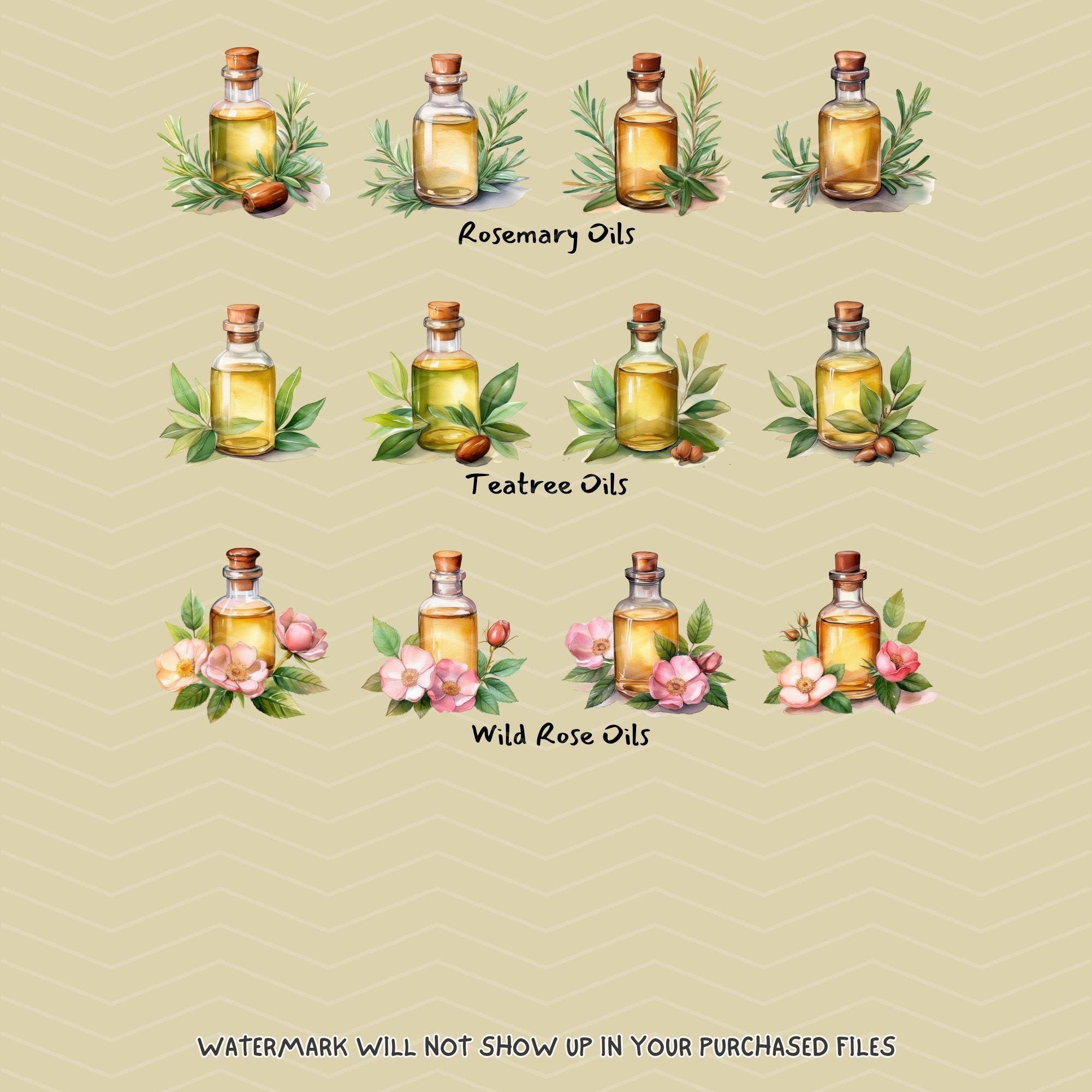 Essential Oils Clipart PNG, Hand-drawn Style Graphic, Rustic Warm Cozy ...