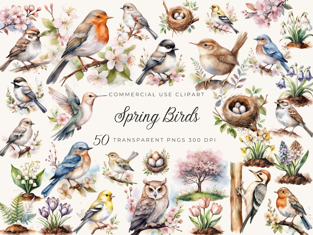 50 Spring Birds Clipart PNG Graphic, Beautiful Springtime Flower ...