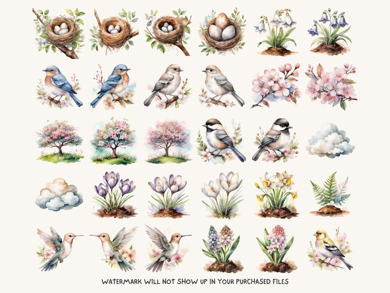 50 Spring Birds Clipart PNG Graphic, Beautiful Springtime Flower ...