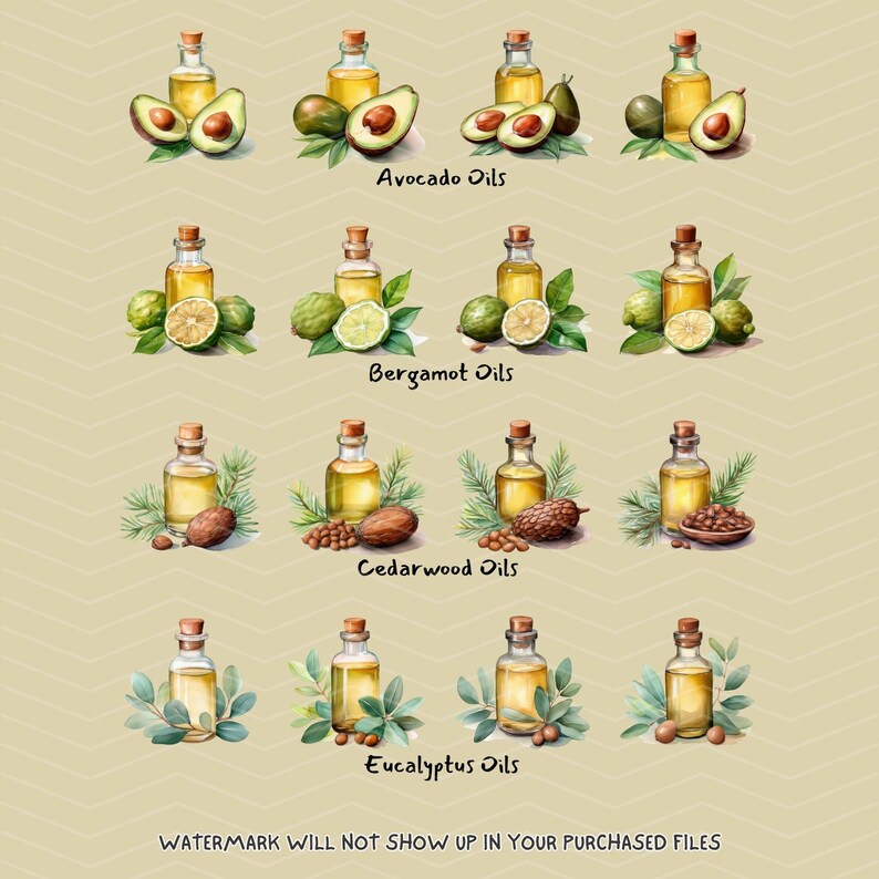 Essential Oils Clipart PNG, Hand-drawn Style Graphic, Rustic Warm Cozy ...