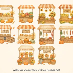Fall Farmers' Market Clipart PNG, Simple Cozy Autumn Harvest Market ...