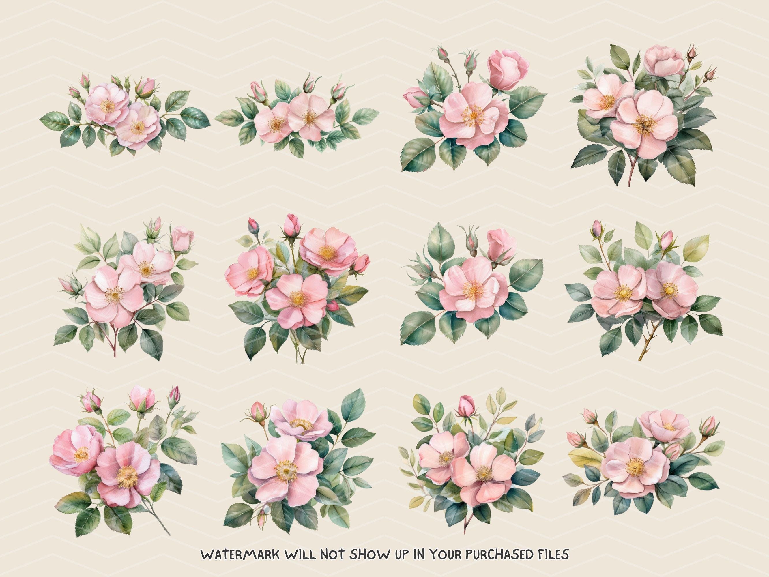 Vintage Wild Roses Clipart PNG, Pink Romantic Flower Bouquet Watercolor ...