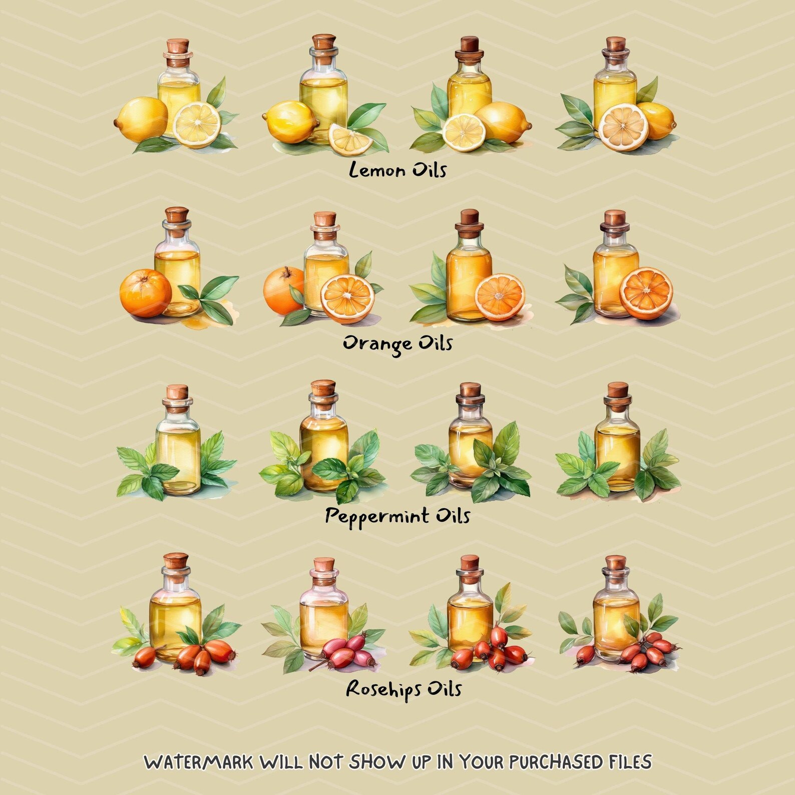 Essential Oils Clipart PNG, Hand-drawn Style Graphic, Rustic Warm Cozy ...