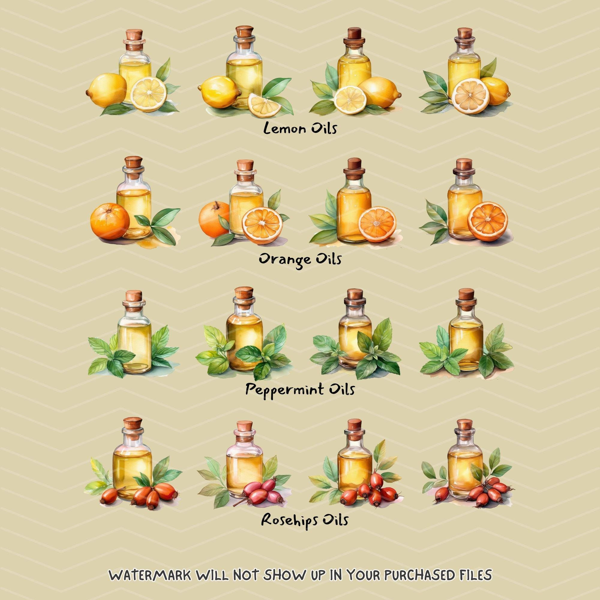 Essential Oils Clipart PNG, Hand-drawn Style Graphic, Rustic Warm Cozy ...