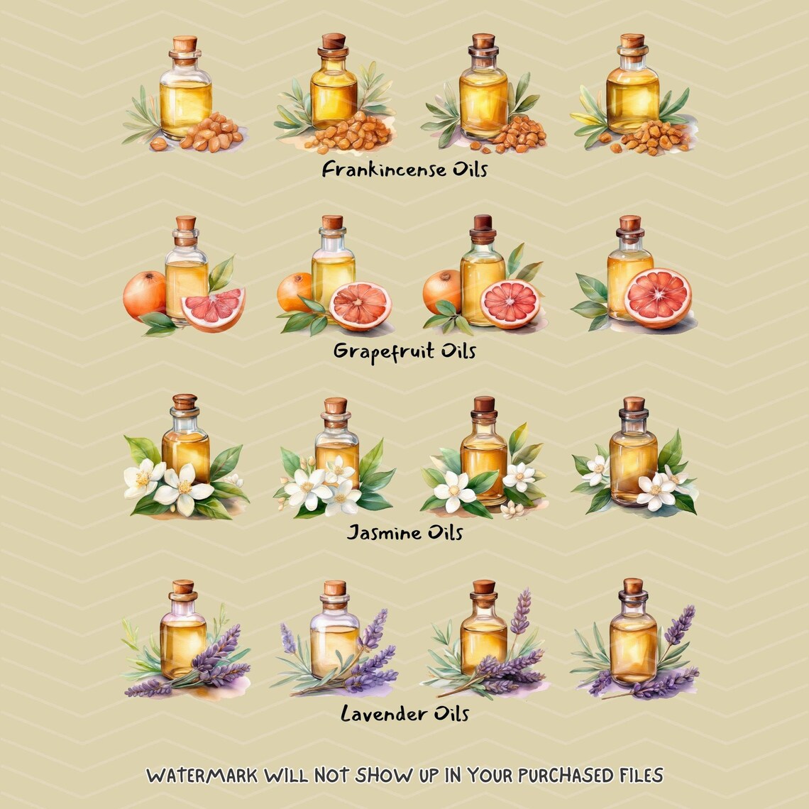 Essential Oils Clipart PNG, Hand-drawn Style Graphic, Rustic Warm Cozy ...