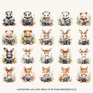 Woodland Animals Storytime Clipart PNG Cute Reading Badger Bear Bunny ...