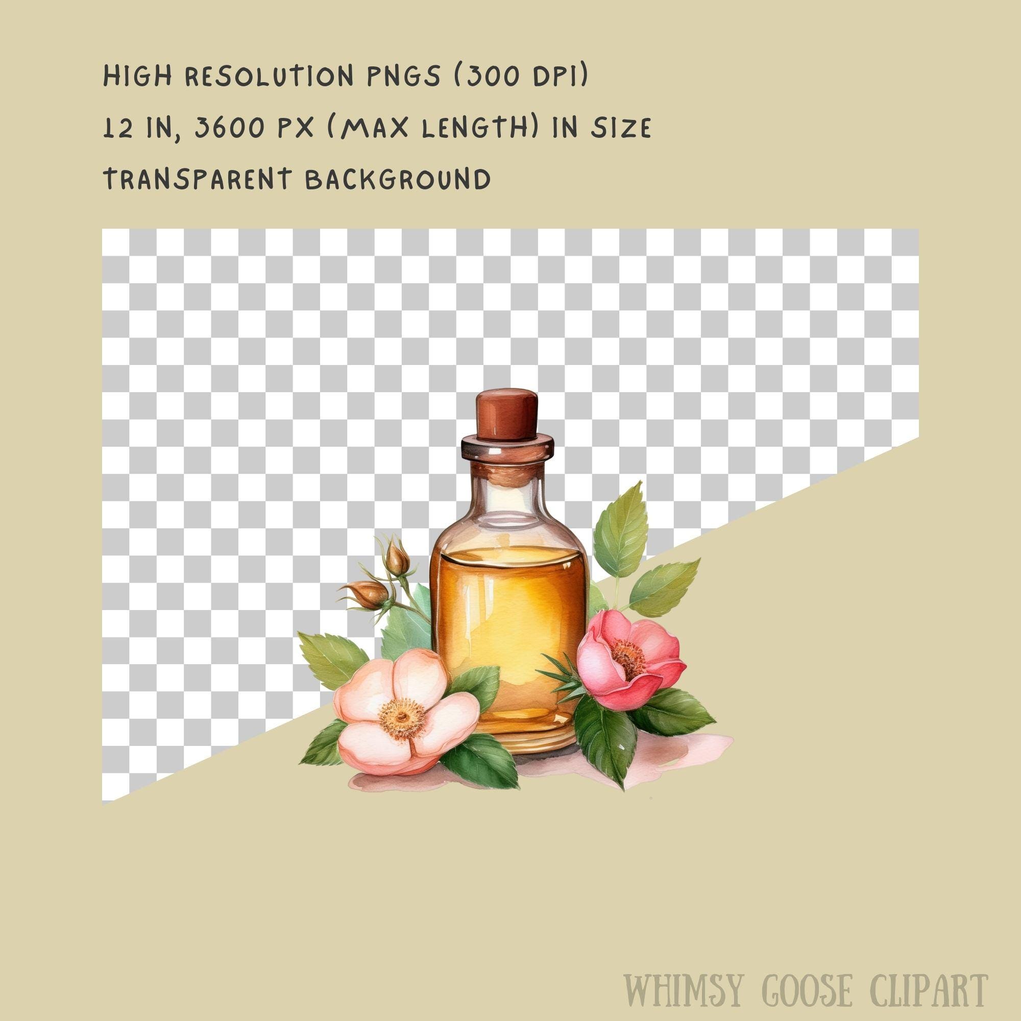 Essential Oils Clipart PNG, Hand-drawn Style Graphic, Rustic Warm Cozy ...