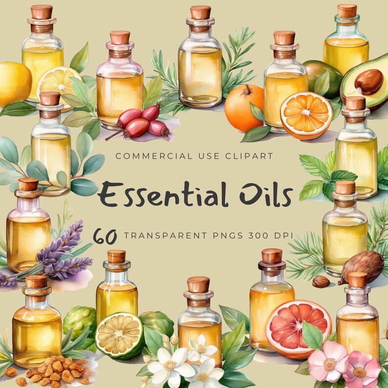 Essential Oils Clipart PNG, Hand-drawn Style Graphic, Rustic Warm Cozy ...