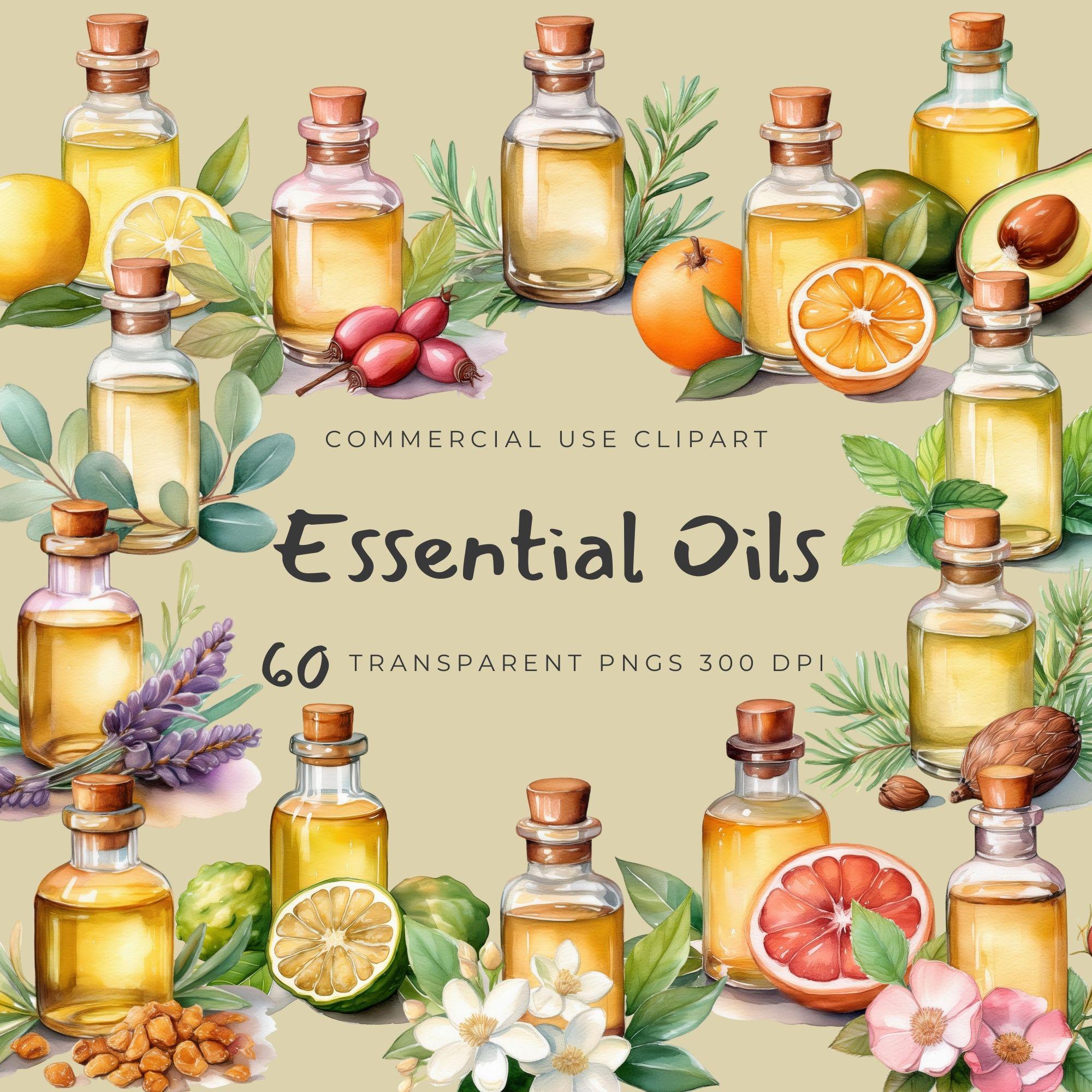 Essential Oils Clipart PNG, Hand-drawn Style Graphic, Rustic Warm Cozy ...