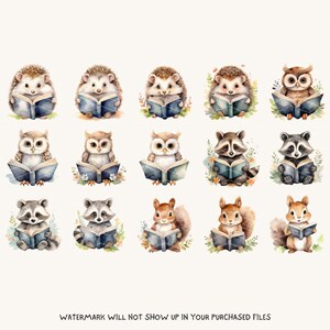 Woodland Animals Storytime Clipart PNG Cute Reading Badger Bear Bunny ...