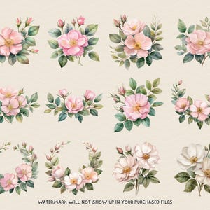 Vintage Wild Roses Clipart PNG, Pink Romantic Flower Bouquet Watercolor ...