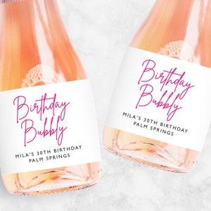Hot Pink Birthday Bubbly Champagne Label, Party Favors, Mini or Full - Etsy