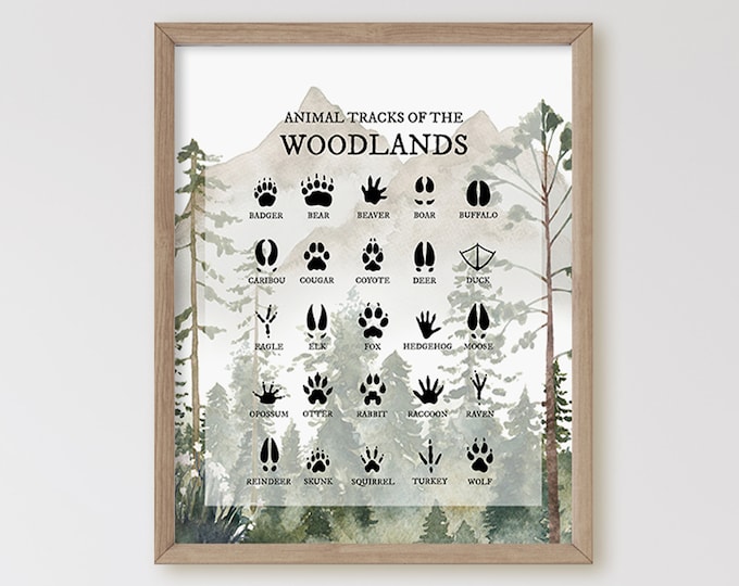 Animal Tracks of the Woodlands, Animal Foot Prints, Boy Woodland ...