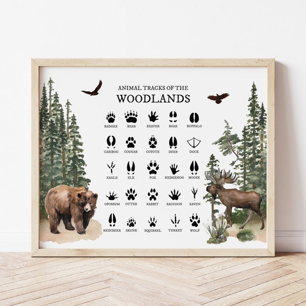 Animal Tracks - Etsy