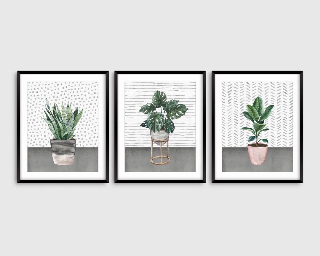 House Plant Prints, Potted Plants, Watercolor, Botanical Prints, Plant ...