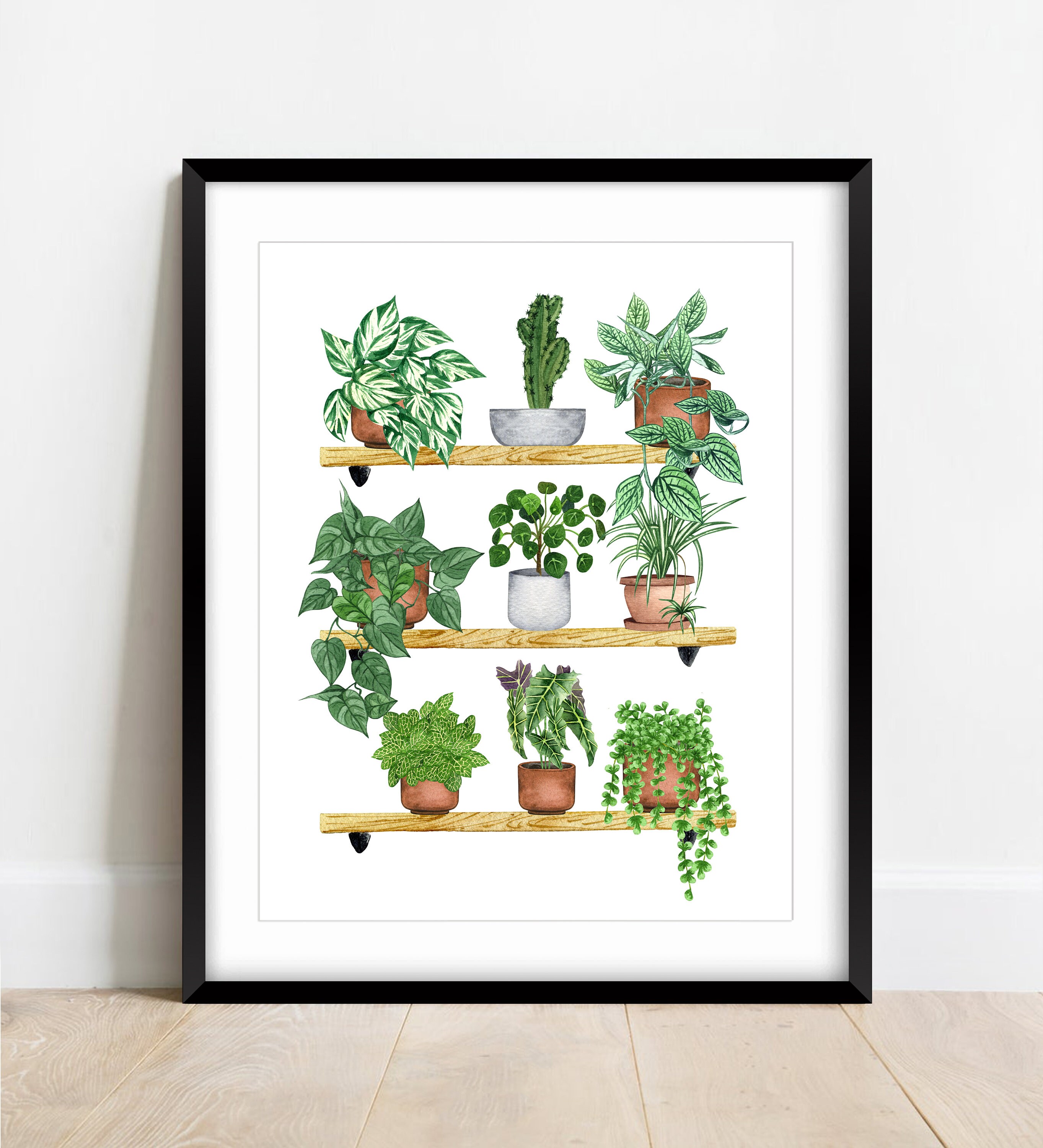 House Plant Print Plants on Shelves Botanical Print | Etsy