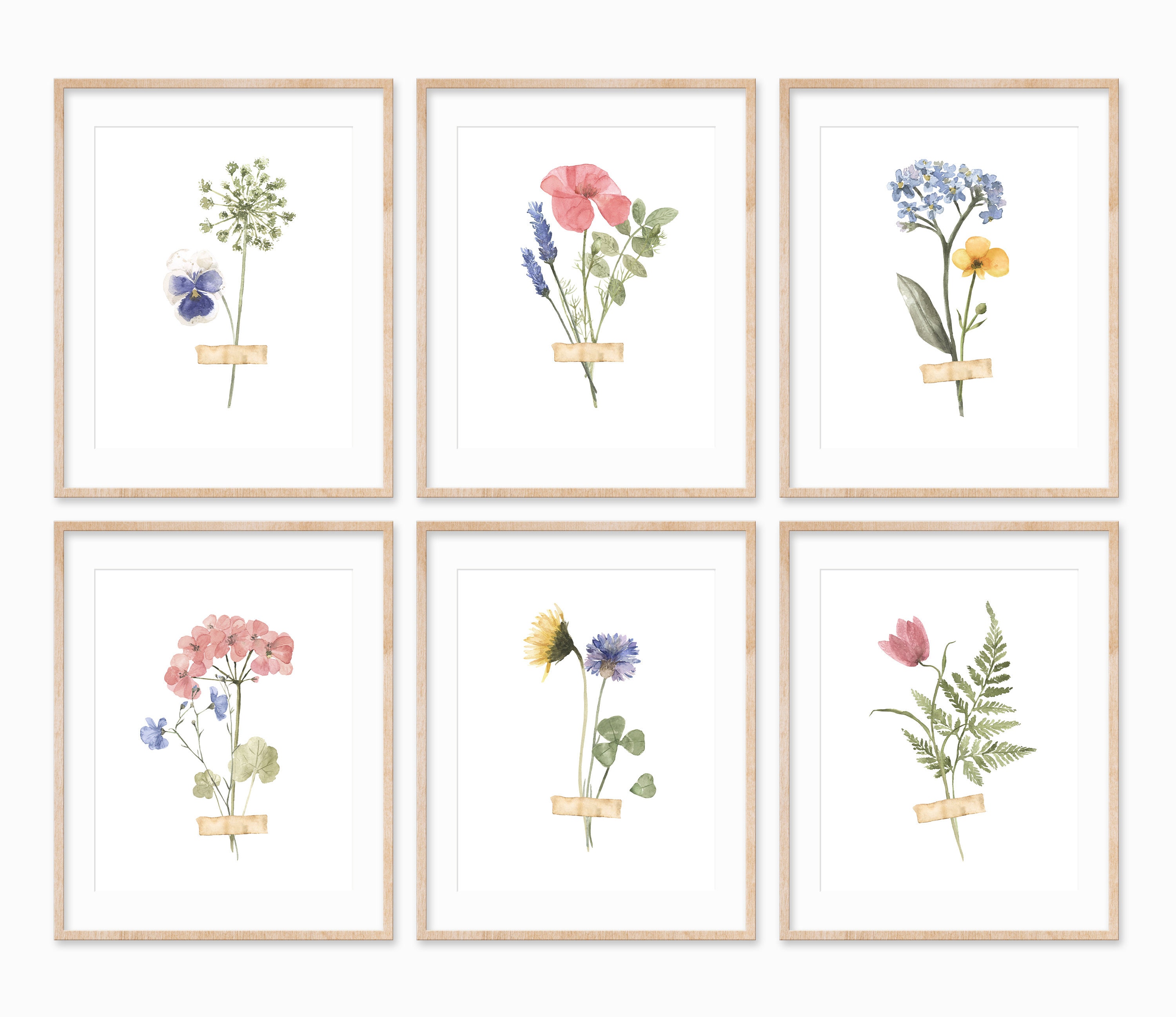 Pressed Flowers Botanical Prints Pressed Floral Prints | Etsy