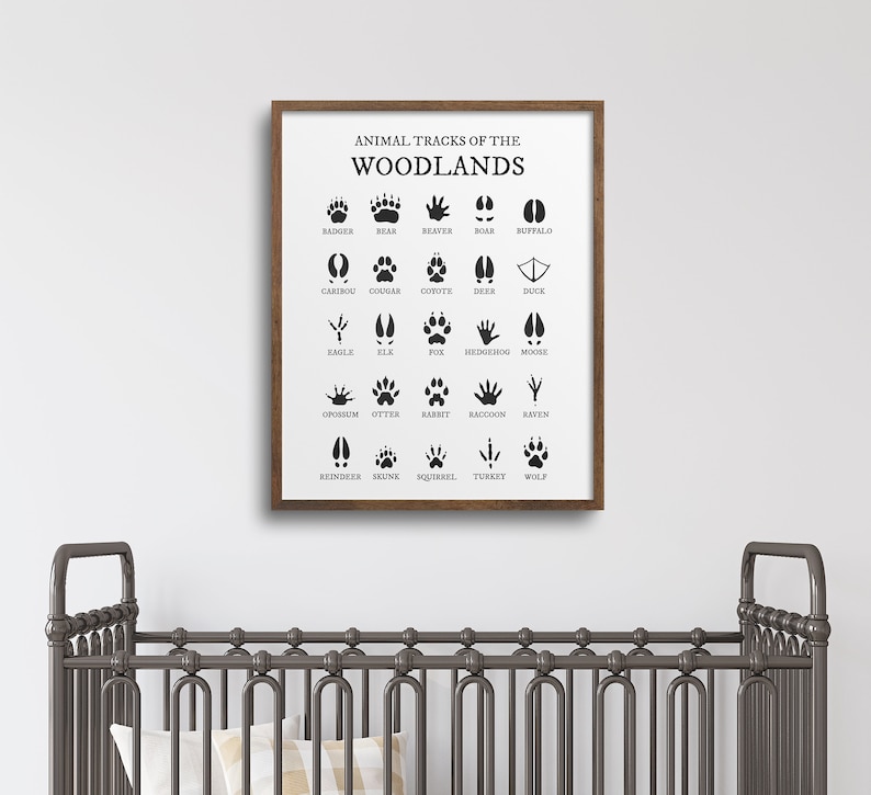 Animal Tracks of the Woodlands Animal Foot Prints Boy | Etsy