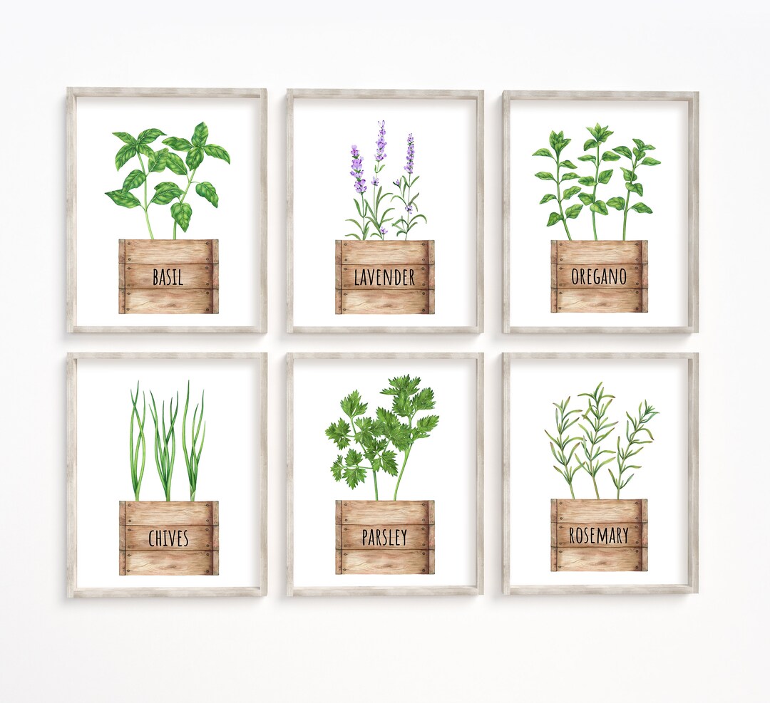 6 Kitchen Herb Prints, Culinary Herbs, Kitchen Wall Art, Kitchen Decor ...