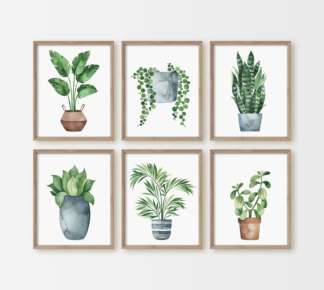 Botanical Print Set, House Plant Prints, Watercolor Prints, Living Room ...