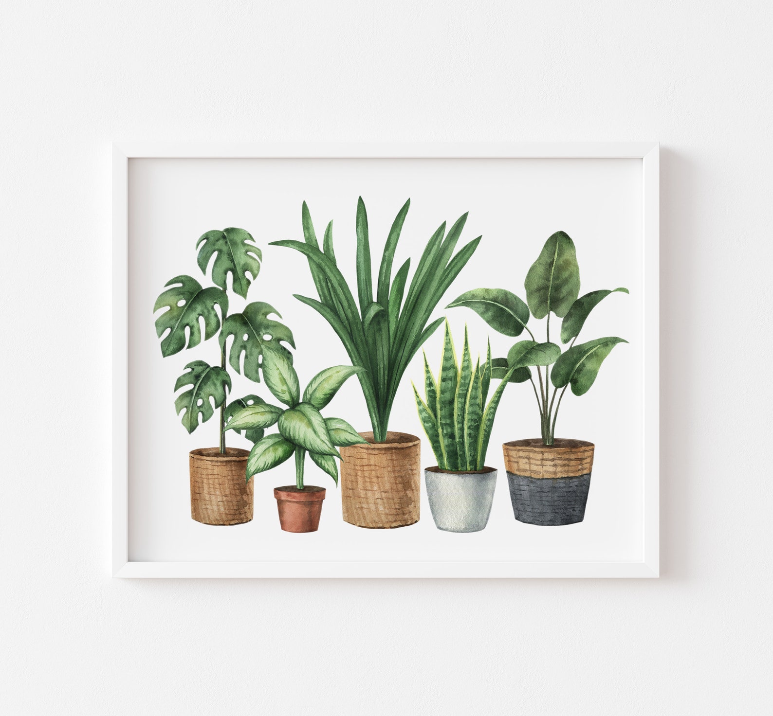 Watercolor House Plant Prints, Botanical Wall Art, Botanical Print ...
