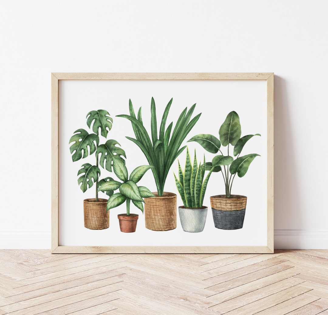Watercolor House Plant Prints, Botanical Wall Art, Botanical Print ...