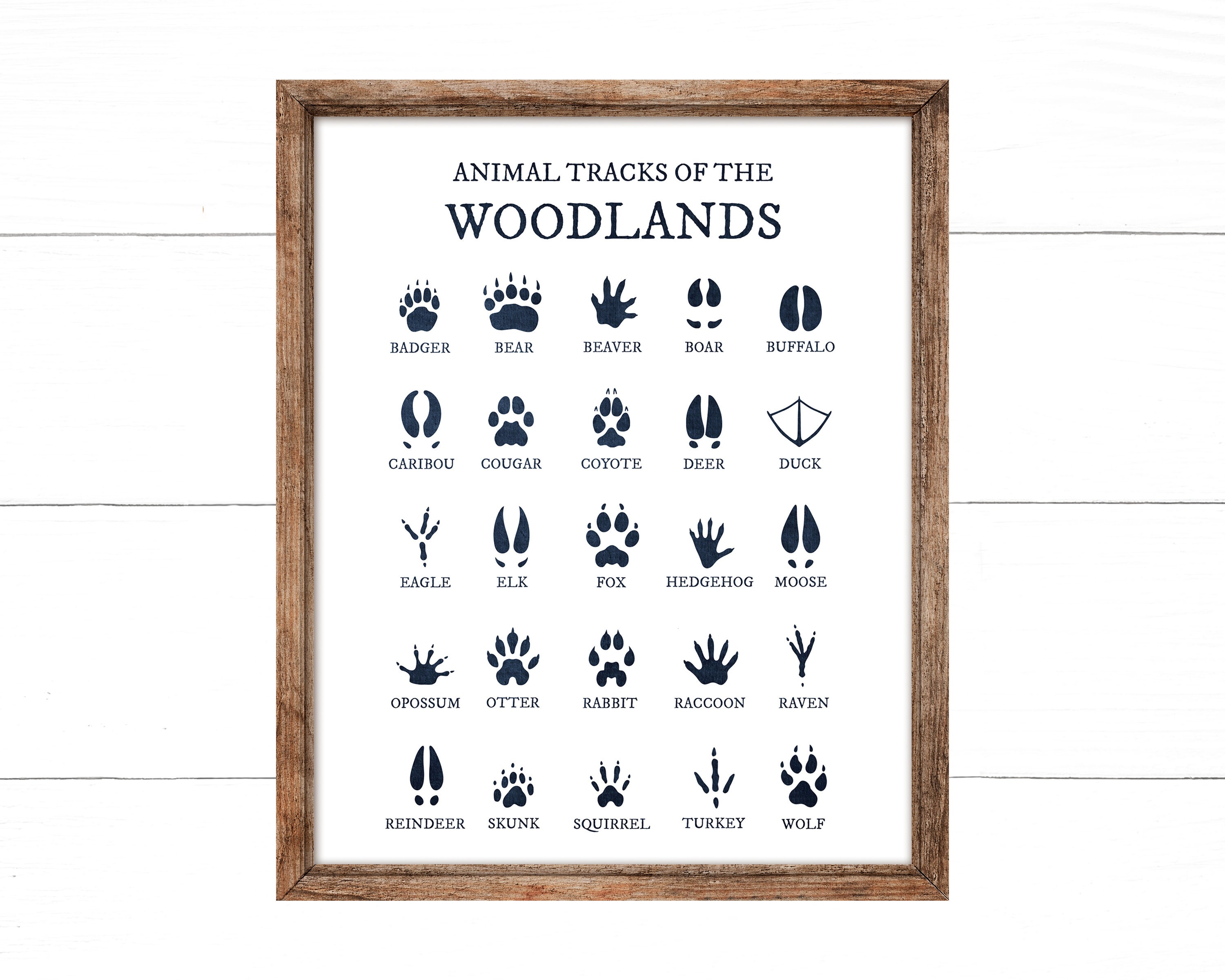 Animal Tracks of the Woodland Prints Boy Woodland Nursery - Etsy