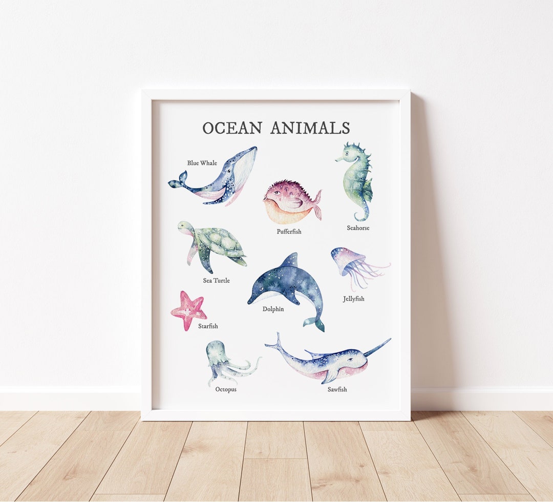 Ocean Animal Print, Nautical Wall Art, Educational Sea Creature ...