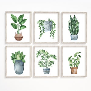 Botanical Print Set, House Plant Prints, Watercolor Prints, Living Room ...