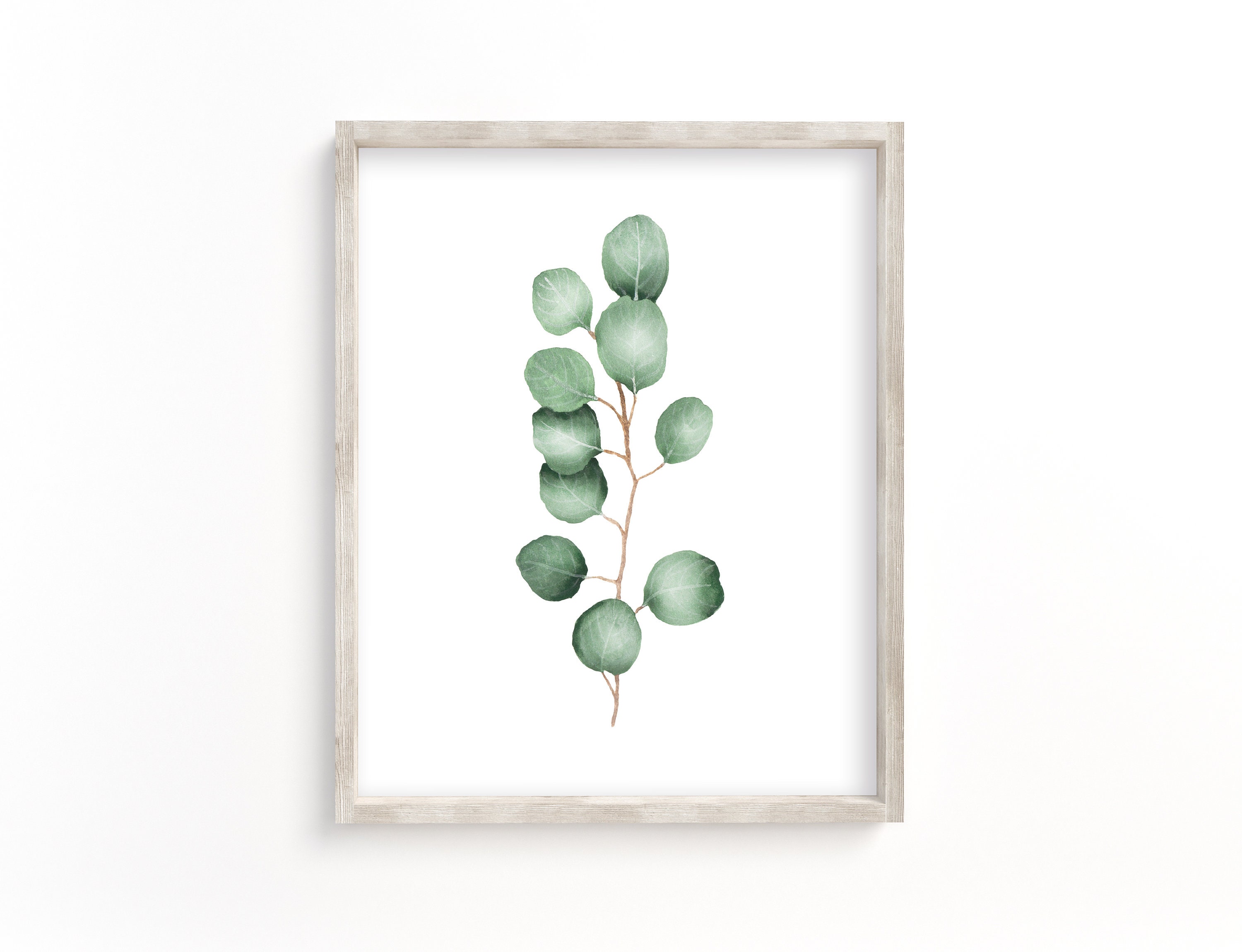 6 Eucalyptus Prints Botanical Wall Art Foliage Prints | Etsy