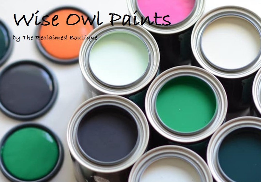 Wise Owl Chalk Synthesis Paint 16oz Pint - Furniture Paint - Acrylic ...
