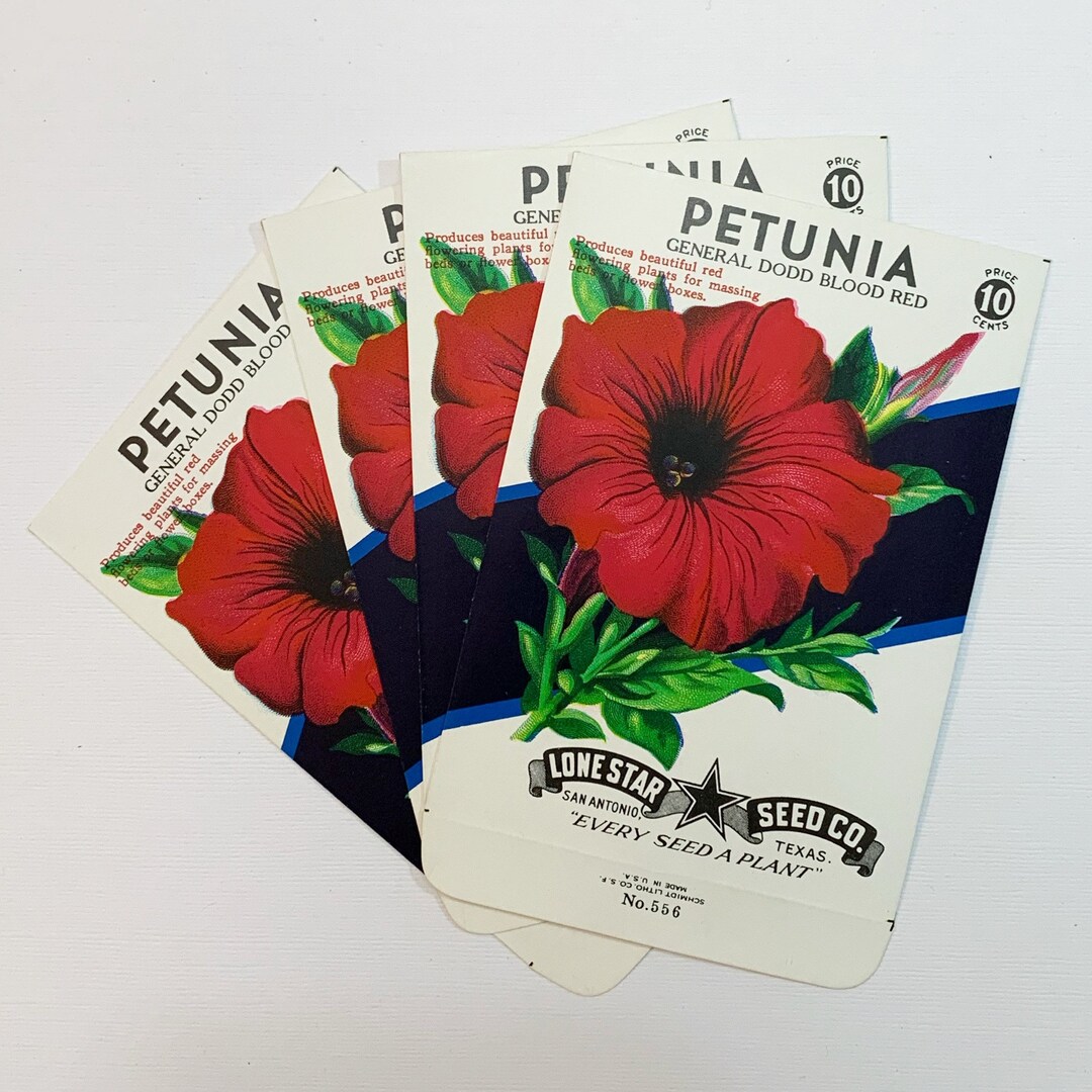 Set of Four Brilliant Red General Dodd Petunia Flower Seed Packets. NOS ...