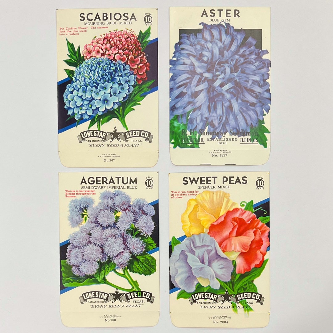 Set of 4 NOS Blue Flower Seed Packets. Aster. Sweet Pea. Ageratum ...