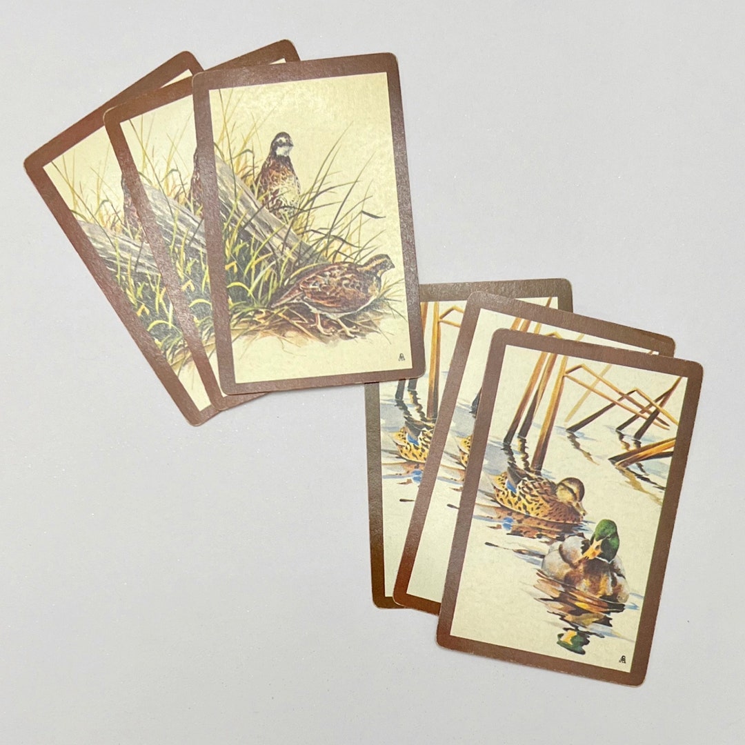 Six Vintage Playing Cards, Mallard Ducks. Quail. Bob White. Hunting ...